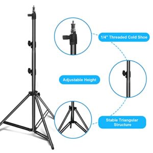 GreatLPT 75'' Light Stand Extendable, Photography Tripod Stand Metal Portable Tripod Stand Perfect for Ring Light, Softboxes, Video Lights, Camera