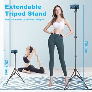 GreatLPT 75'' Light Stand Extendable, Photography Tripod Stand Metal Portable Tripod Stand Perfect for Ring Light, Softboxes, Video Lights, Camera