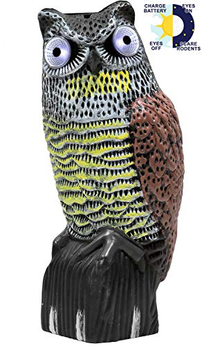 Galashield Owl Decoy | Plastic Owls to Scare Birds Away with Solar Powered LED Eyes | Owl Statue for Garden & Outdoors