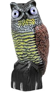 galashield owl decoy | plastic owls to scare birds away with solar powered led eyes | owl statue for garden & outdoors