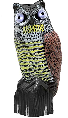 Galashield Owl Decoy | Plastic Owls to Scare Birds Away with Solar Powered LED Eyes | Owl Statue for Garden & Outdoors