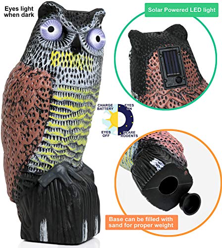 Galashield Owl Decoy | Plastic Owls to Scare Birds Away with Solar Powered LED Eyes | Owl Statue for Garden & Outdoors