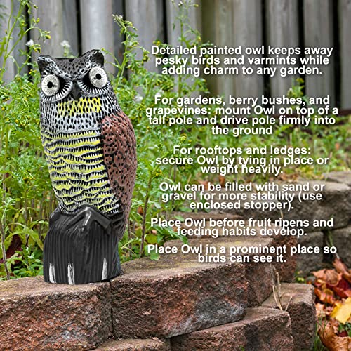 Galashield Owl Decoy | Plastic Owls to Scare Birds Away with Solar Powered LED Eyes | Owl Statue for Garden & Outdoors