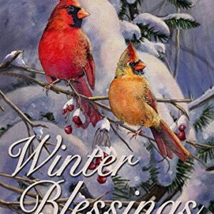 Furiaz Winter Blessings Garden Flag Cardinals, Snowy Home Decorative House Yard Small Flag Birds Welcome Decor Sign Double Sided, Christmas Holiday Outdoor Decorations Xmas Seasonal Outside Flag 12x18