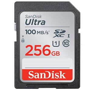 SanDisk 256GB SDXC SD Ultra Memory Card Works with Canon EOS Rebel T7, Rebel T6, 77D Digital Camera Class 10 (SDSDUNR-256G-GN6IN) Bundle with (1) Everything But Stromboli Combo Card Reader