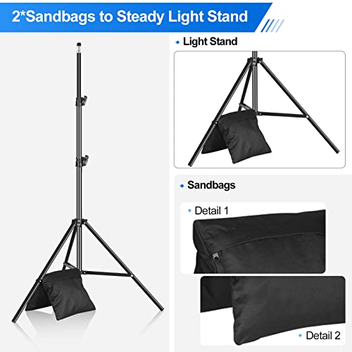 EMART Softbox Lighting Kit with Sandbag, 20"x28" Soft Box Lights Photography Accessories with 2x105W E27 5500K Bulbs, Professional Camera Light Kit for Studio Video Recording, Filming, Podcast