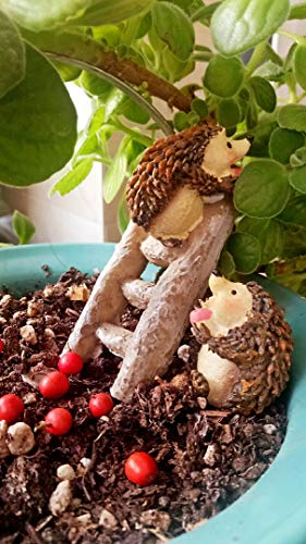 MUAMAX Miniatures Hedgehog Figurines Fairy Garden Hedgehog Accessories Suppliers Mini Hedgehog Animals Micro Landscape Bonsai Craft Decor Miniature Garden Ornaments