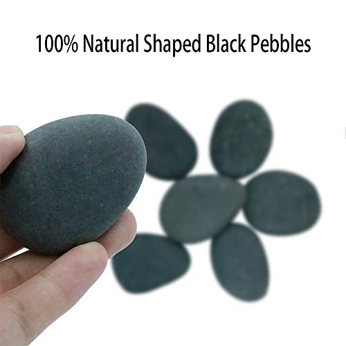 Craft Rocks for Rock Painting, 7 Smooth Flat Surfaced Stones for Kindness Stones and Rock Painting, 2" - 3.5" Inch River Rocks