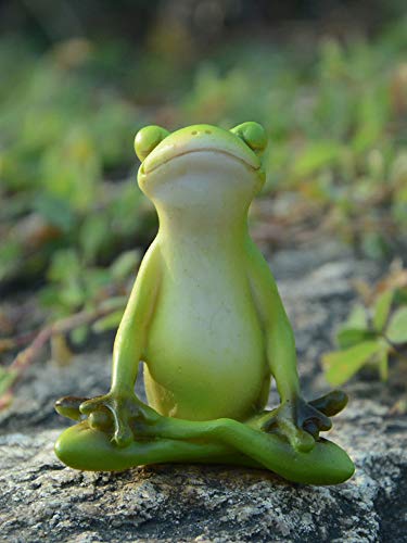 Gemmia Miniature Fairy Garden Frog Statue- It's a New Day