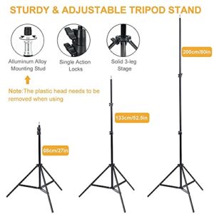 YICOE Softbox Lighting Kit with 60 cm Reflector Professional Continuous Studio Photography Equipment with 2 95W Bulbs 5500K for Filming Portrait Product Shooting Photography Video