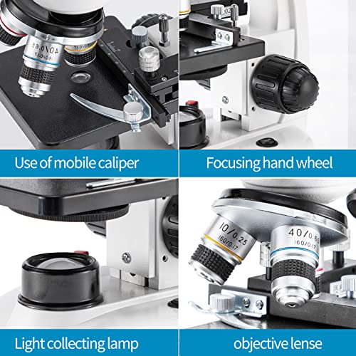 Compound Binocular Microscope, WF10x and WF25x Eyepieces,40X-2000X Magnification, LED Illumination Two-Layer Mechanical Stage