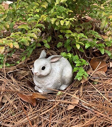 Top Brass Rabbit Key Hider Figurine - Cute Bunny Garden Statue with Secret Compartment - Indoor / Outdoor