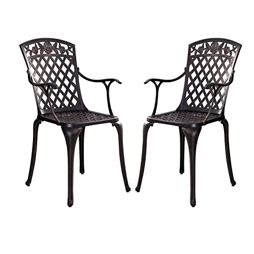 Withniture Cast Aluminum Patio Chairs,Outdoor Dining Chairs Set of 2 with High Back,Metal Patio Chairs,All Weather Outdoor Bistro Chair for Garden,Backyard(Bronze)