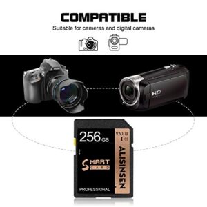 256GB SD Cards Memory Card 512GB High Speed Class 10 Secure Digital Cards for Body Camera ，Tablets and Drones