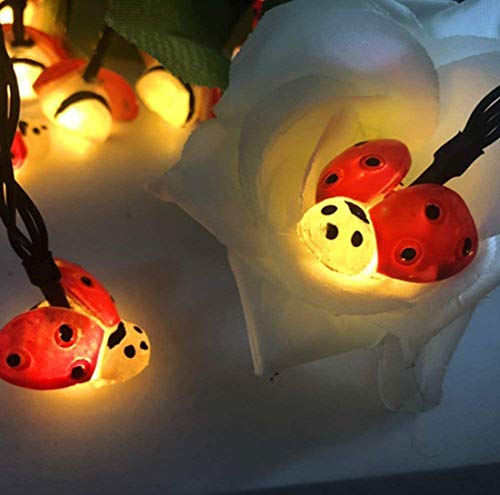 30LEDs Ladybug String Lights,AMZSTAR Waterproof Solar Light Indoor/Outdoor Decorative String Lights,Fairy Twinkle Wire Lights Solar Rope Light Decor for Christmas/Patio/Garden/Party (Warm whtie)