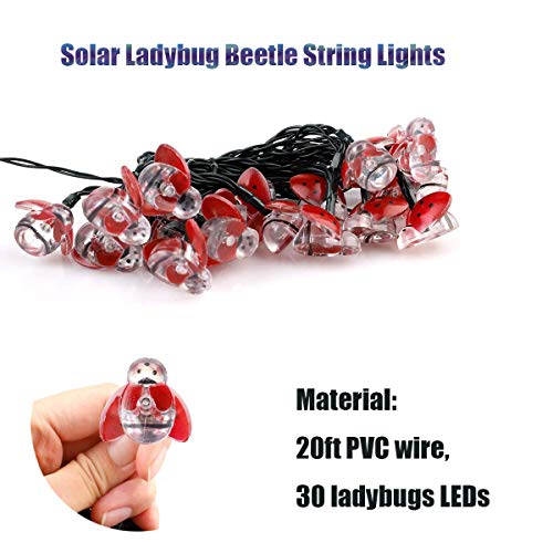 30LEDs Ladybug String Lights,AMZSTAR Waterproof Solar Light Indoor/Outdoor Decorative String Lights,Fairy Twinkle Wire Lights Solar Rope Light Decor for Christmas/Patio/Garden/Party (Warm whtie)