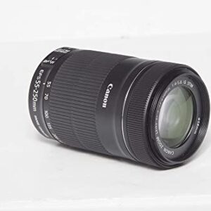 Canon EF-S 55-250mm f/4-5.6 IS STM Telephoto Zoom Lens (Import Model)