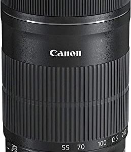 Canon EF-S 55-250mm f/4-5.6 IS STM Telephoto Zoom Lens (Import Model)