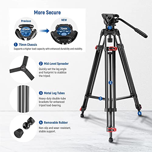 NEEWER 74" Pro Video Tripod with Fluid Head, Heavy Duty Aluminum Tripod with 360° Pan&-70°/+90° Tilt Head Quick Release Plate and Mid-Level Spreader for DSLR Camera&Camcorder, Max Load:17.6lb/8Kg-GM88