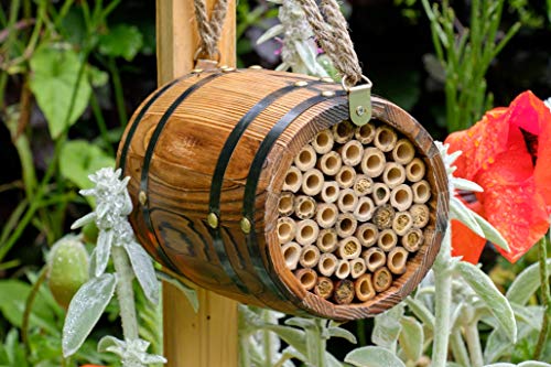 Wildlife World Mason Bee Barrel - Natural Hanging Habitat for Pollinators, Increases Productivity in Your Garden (Brown)