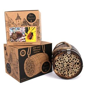 Wildlife World Mason Bee Barrel - Natural Hanging Habitat for Pollinators, Increases Productivity in Your Garden (Brown)