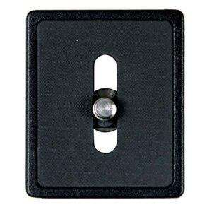 vanguard qs-39 quick release plate