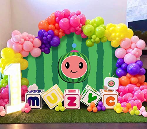 Cute Cartoon Watermelon Backdrop Kids 1st 2nd 3rd Happy Birthday Watermelon Theme Party Photography Backdrops Newborn Baby Shower Decoration Background 7x5FT