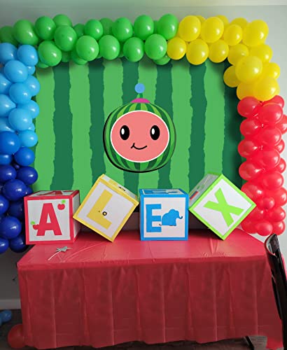 Cute Cartoon Watermelon Backdrop Kids 1st 2nd 3rd Happy Birthday Watermelon Theme Party Photography Backdrops Newborn Baby Shower Decoration Background 7x5FT