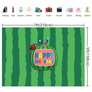 Cute Cartoon Watermelon Backdrop Kids 1st 2nd 3rd Happy Birthday Watermelon Theme Party Photography Backdrops Newborn Baby Shower Decoration Background 7x5FT