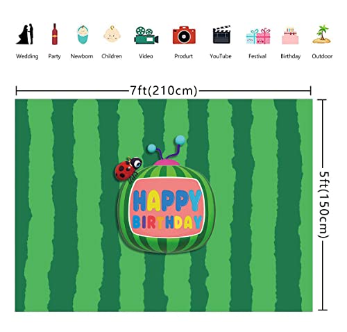 Cute Cartoon Watermelon Backdrop Kids 1st 2nd 3rd Happy Birthday Watermelon Theme Party Photography Backdrops Newborn Baby Shower Decoration Background 7x5FT