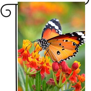 Pickako Butterfly Insects in On Orange Floral Flowers Spring Summer Natural Seasonal Garden Yard Flag 12 x 18 Inch, Double Sided Outdoor Decorative Welcome flags Banners for Home House Lawn Patio