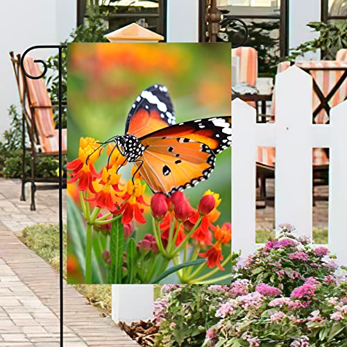 Pickako Butterfly Insects in On Orange Floral Flowers Spring Summer Natural Seasonal Garden Yard Flag 12 x 18 Inch, Double Sided Outdoor Decorative Welcome flags Banners for Home House Lawn Patio