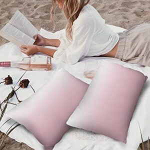 Xback Outdoor Throw Pillow Covers Waterproof Cushion Cases Set of 2, Cute Pink White Gradient Dreamy Minimalist Style Decorative Pillowcases for Patio Furniture Garden Tent-