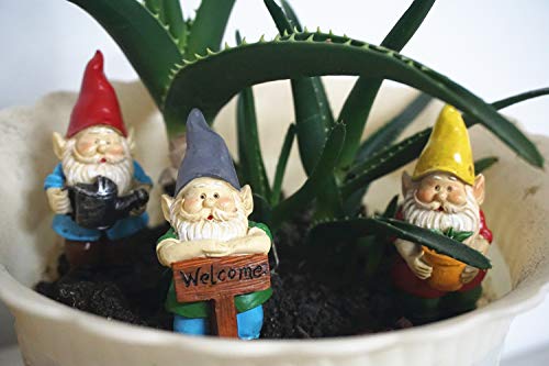 MUAMAX Miniature Gnome Figurines Set of 3 Small Gnomes Sets for Fairy Gardens Gnomes Gifts Gnome Garden Accessories