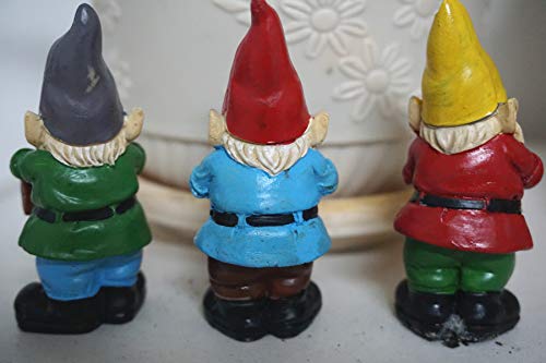 MUAMAX Miniature Gnome Figurines Set of 3 Small Gnomes Sets for Fairy Gardens Gnomes Gifts Gnome Garden Accessories