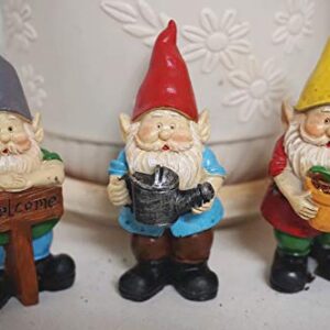 MUAMAX Miniature Gnome Figurines Set of 3 Small Gnomes Sets for Fairy Gardens Gnomes Gifts Gnome Garden Accessories