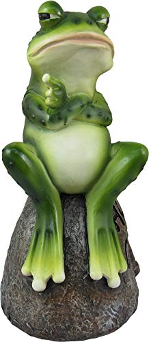 DWK - Froggie's Bad Day - Adorable Indoor Outdoor Flip Off Frog on Stone Rock with Hop Off Message Middle Finger Figurine Grumpy Toad Home Decor Accent Garden Patio Accessory, 7.75-inch…