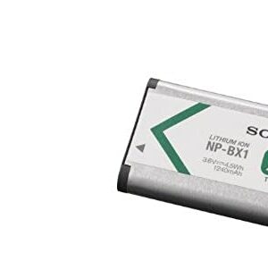 Sony NP-BX1/M8 Lithium-Ion X Type Battery (Silver)