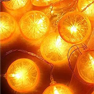 HelloCreate Fruit String Light Orange Lemon Slices Outdoor String Light Battery Operated Fruit Twinkle LED String Lights for Wedding Festival Party Garden Decor (Orange, 6m 40LEDs)