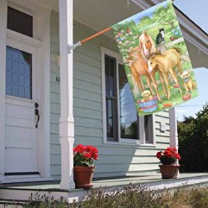 Toland Home Garden 109566 Pasture Pals Spring Flag 28x40 Inch Double Sided Spring Garden Flag for Outdoor House Horse Flag Yard Decoration