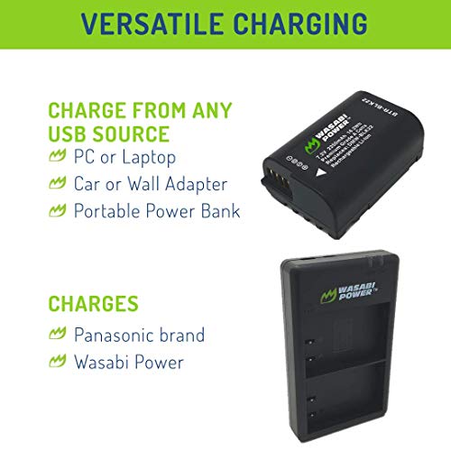 Wasabi Power Battery (2-Pack) and USB-C Dual Battery Charger for Panasonic DMW-BLK22 and Panasonic Lumix DC-S5, DC-S5 II, DC-S5 IIX, GH5 II, GH6, S5II, S5IIX, S5M2, S5M2X, GH5M2