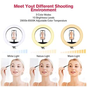 18 inch LED Ring Light with Tripod Stand Dimmable Makeup Selfie Ring Light for Studio Portrait YouTube Vlog Video Shooting with Carrying Bag and Remote Controller, CRI 90