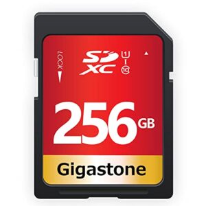 gigastone 256gb sd card uhs-i u1 class 10 sdxc memory card high speed full hd video canon nikon sony pentax kodak olympus panasonic digital camera, with 1 mini case