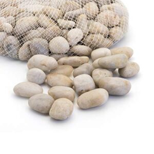 royal imports 5lbs river rocks decorative ornamental pebbles, garden landscaping stones, gravel filler for plants, vases, succulents, home decor, aquariums, crafting, animal habitat – large light