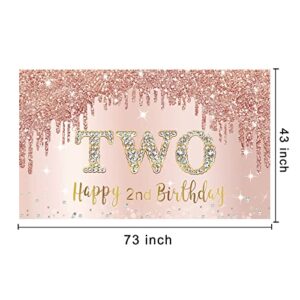 2nd Birthday Banner Backdrop Decorations for Girls, Rose Gold Happy 2 Year Old Birthday Sign Party Supplies, Pink Second Birthday Poster Background Photo Booth Props Decor