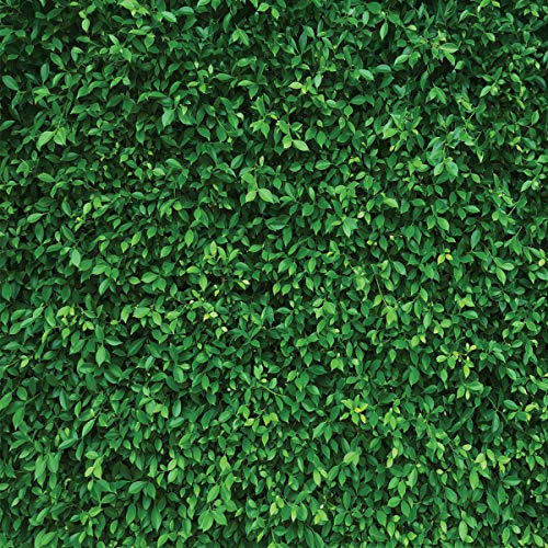 LYWYGG 8x8FT Green Leaves Photography Backdrops Mmicrofiber Nature Backdrop Birthday Background for Birthday Party Seamless Photo Booth Prop Backdrop CP-87-0808