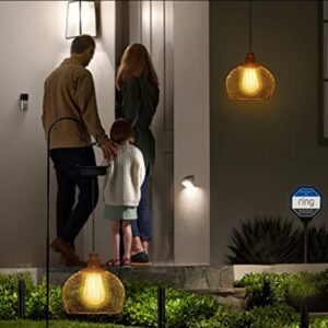 SHYMERY Hanging Solar Lights,Metal Solar Lantern LED Garden Outdoor Chandelier Rustic Edison Bulb Lamps Waterproof for Outdoor Hanging,Porch,Patio,Lanai,Pathway Decor(Bronze,1 Pack)