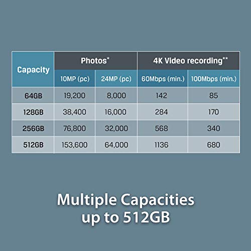 Kingston 128GB SDXC Canvas Go Plus 170MB/s Read UHS-I, C10, U3, V30 Memory Card (SDG3/128GB)