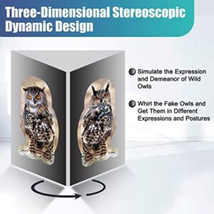 kungfu Mall Bird Scarer, 2 Pack Fake Owls to Keep Birds Away, Reflective Owl Hanging Decoration, Dual-Side Printed Raster Fake Hawk Eagle to Keep Birds Away from Garden Patio Windows