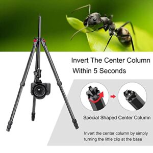 Manbily 63" Carbon Fiber DSLR Camera Tripod Monopod Kit,Compact and Lightweight,360-degree Panoramic Ball Head Quick Release Plate,5 Seconds Quickly Invert The Center Column,for Travel Work(YS-254C)